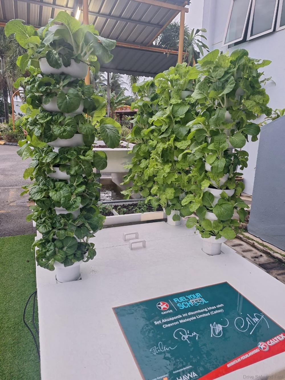 Chevron Launches Latest Edition Of Caltex Fuel Your School Initiative ...